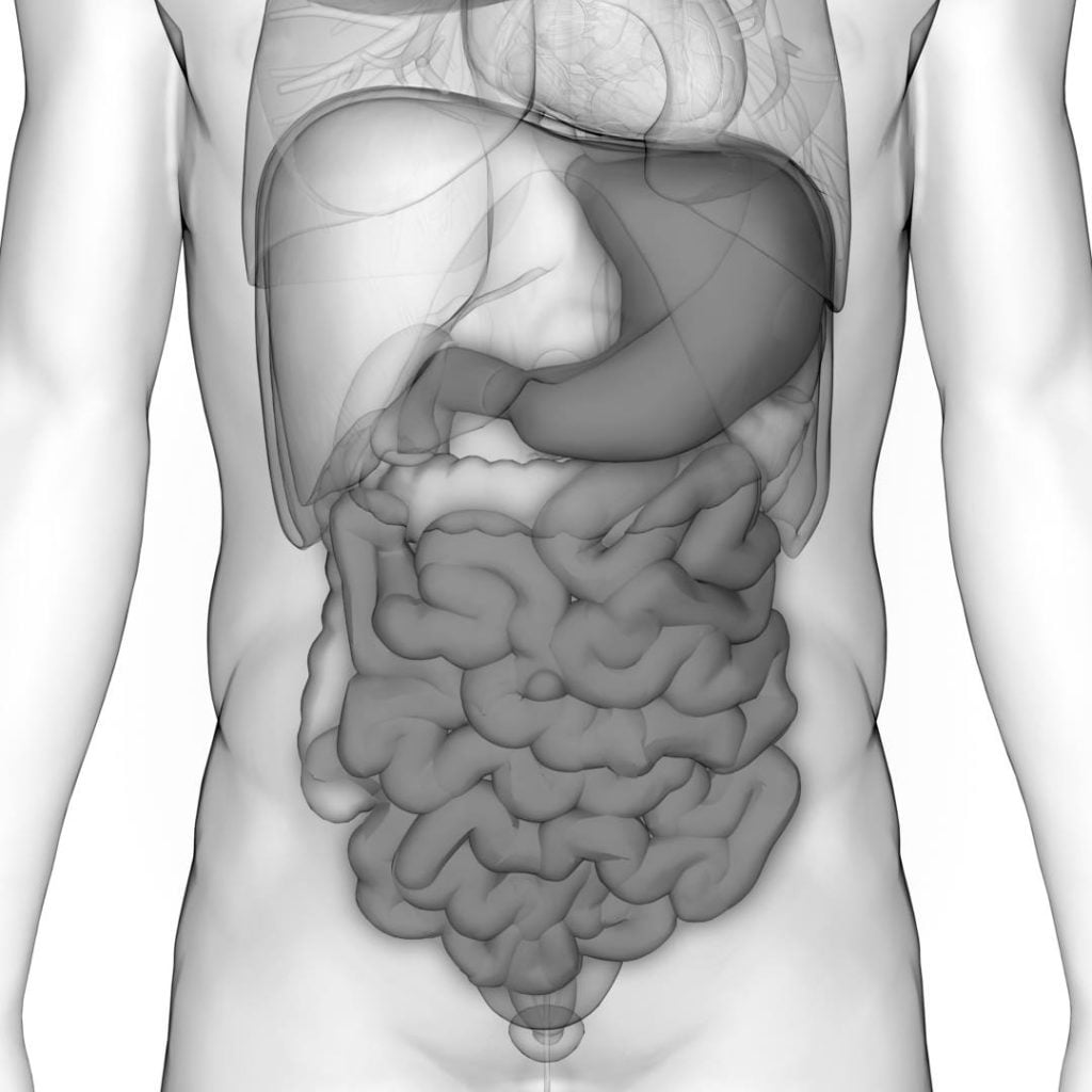 Bajpas želuca, u 4 koraka saznajte sve - Dr Miloš Bjelović