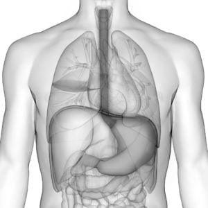 GERB, u 4 koraka saznajte sve - Dr Miloš Bjelović