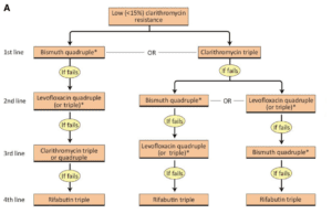 Eradikacija H.pylori, terapija WGO 2021. - Dr Miloš Bjelović